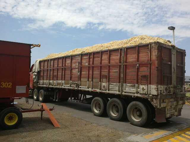 Cotizaciones para Transporte de Granos, Alimento y Heno